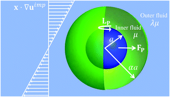 Dynamics and stability of a concentric compound particle – a ...