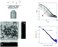 Measuring capillary wave dynamics using differential dynamic microscopy ...