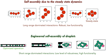 On the role of hydrodynamic interactions in the engineered-assembly of ...