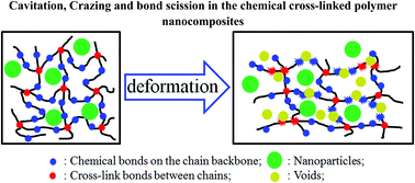 Cavitation, crazing and bond scission in chemically cross-linked ...