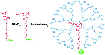 Water-soluble polyglycerol-dendronized poly(norbornene)s with ...