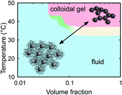 The phase diagram of colloidal silica–PNIPAm core–shell nanogels - Soft ...