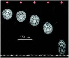 Escape dynamics of liquid droplets confined between soft interfaces ...