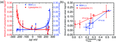 Surface charge dominated protein absorption on hydrogels - Soft Matter ...