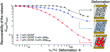 Filler size effect in an attractive fibrillated network: a structural and rheological ...