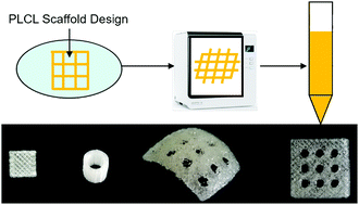 3D printing of implantable elastic PLCL copolymer scaffolds - Soft ...