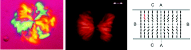 Self-assembled toron-like structures in inverse nematic gels - Soft ...