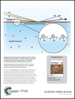 Inside back cover - Soft Matter (RSC Publishing)