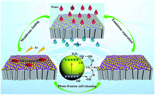 Photo-Fenton self-cleaning membranes with robust flux recovery for an ...