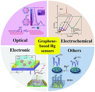 Recent advances in sensitive and rapid mercury determination with ...