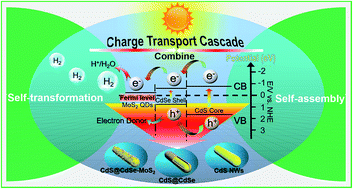 Cascade charge transfer mediated by in situ interface modulation toward ...