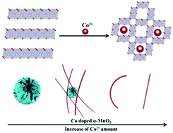 Co2+ induced phase transformation from δ- to α-MnO2 and their ...