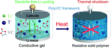 In situ formed polymer gel electrolytes for lithium batteries with ...