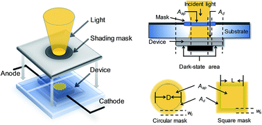 Modeling the edge effect for measuring the performance of mesoscopic ...