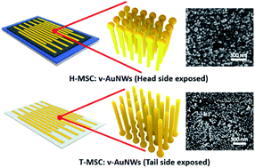 A Janus gold nanowire electrode for stretchable micro-supercapacitors ...