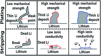 In situ formation of a multicomponent inorganic-rich SEI layer provides ...