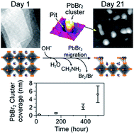 Atomic-scale view of stability and degradation of single-crystal ...