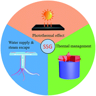 Solar steam generation based on the photothermal effect: from designs ...