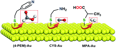 Understanding the role of functional groups of thiolate ligands in ...