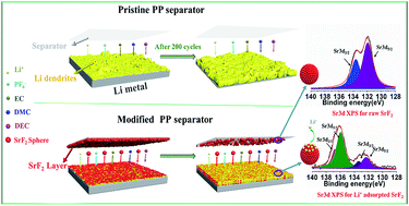 A functional SrF2 coated separator enabling a robust and dendrite-free ...