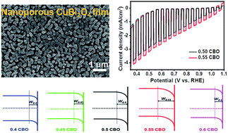 Porous CuBi2O4 photocathodes with rationally engineered morphology and composition towards high ...