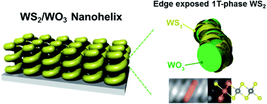 Enhanced catalytic activity of edge-exposed 1T phase WS2 grown directly ...