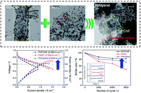 Tolerance to carbon corrosion of various carbon structures as catalyst supports for polymer ...