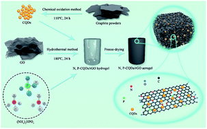 Three-dimensional nitrogen and phosphorus co-doped carbon quantum dots ...
