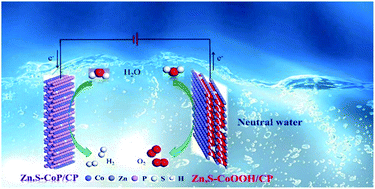 Callistemon-like Zn and S codoped CoP nanorod clusters as highly ...