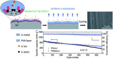 Confinement effect and air tolerance of Li plating by lithiophilic poly ...