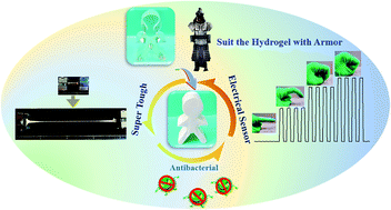 Equip the hydrogel with armor: strong and super tough biomass ...