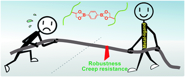 Biomimetic design of elastomeric vitrimers with unparalleled mechanical ...