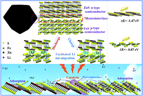In situ engineered ZnS–FeS heterostructures in N-doped carbon nanocages ...