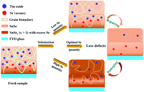 Defect repair of tin selenide photocathode via in situ selenization ...