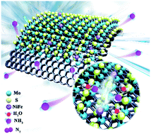 Unique hollow Ni–Fe@MoS2 nanocubes with boosted electrocatalytic ...