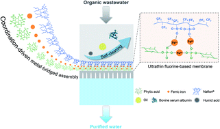 Ultrathin fluorinated self-cleaning membranes via coordination-driven ...