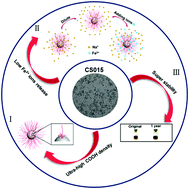 A T1/T2 dual functional iron oxide MRI contrast agent with super ...