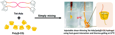 Supramolecular assembly of tetronic–adamantane and poly(β-cyclodextrin ...