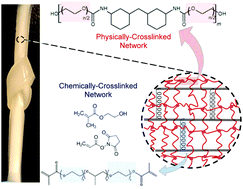 Tough hydrophilic polyurethane-based hydrogels with mechanical ...