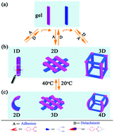 A smart bottom-up strategy for fabrication of complex hydrogel ...