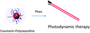 Amphiphilic polymers based on polyoxazoline as relevant nanovectors for ...