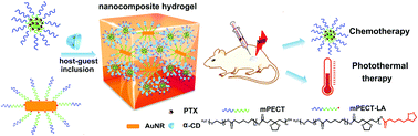 An injectable nanocomposite hydrogel co-constructed with gold nanorods ...