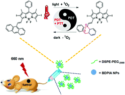 An anthracene functionalized BODIPY derivative with singlet oxygen ...