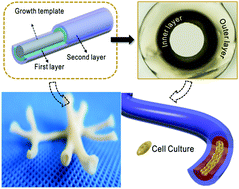 Polymerization induced phase separation as a generalized methodology ...