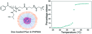 Thermoresponsive polysarcosine-based nanoparticles - Journal of ...