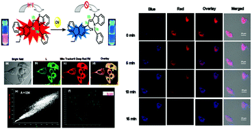 A colorimetric and ratiometric fluorescent probe for cyanide sensing in ...