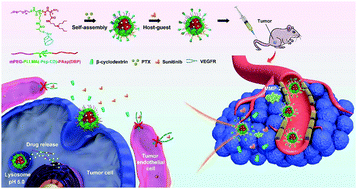 The programmed site-specific delivery of the angiostatin sunitinib and ...