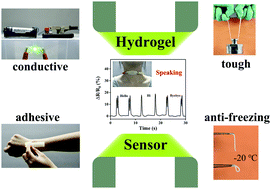 Wearable strain sensors based on casein-driven tough, adhesive and anti ...