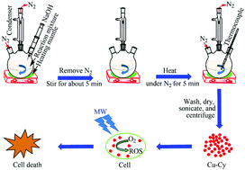 A facile method for the synthesis of copper–cysteamine nanoparticles ...