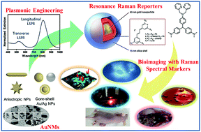 Recent advances in cancer bioimaging using a rationally designed Raman ...